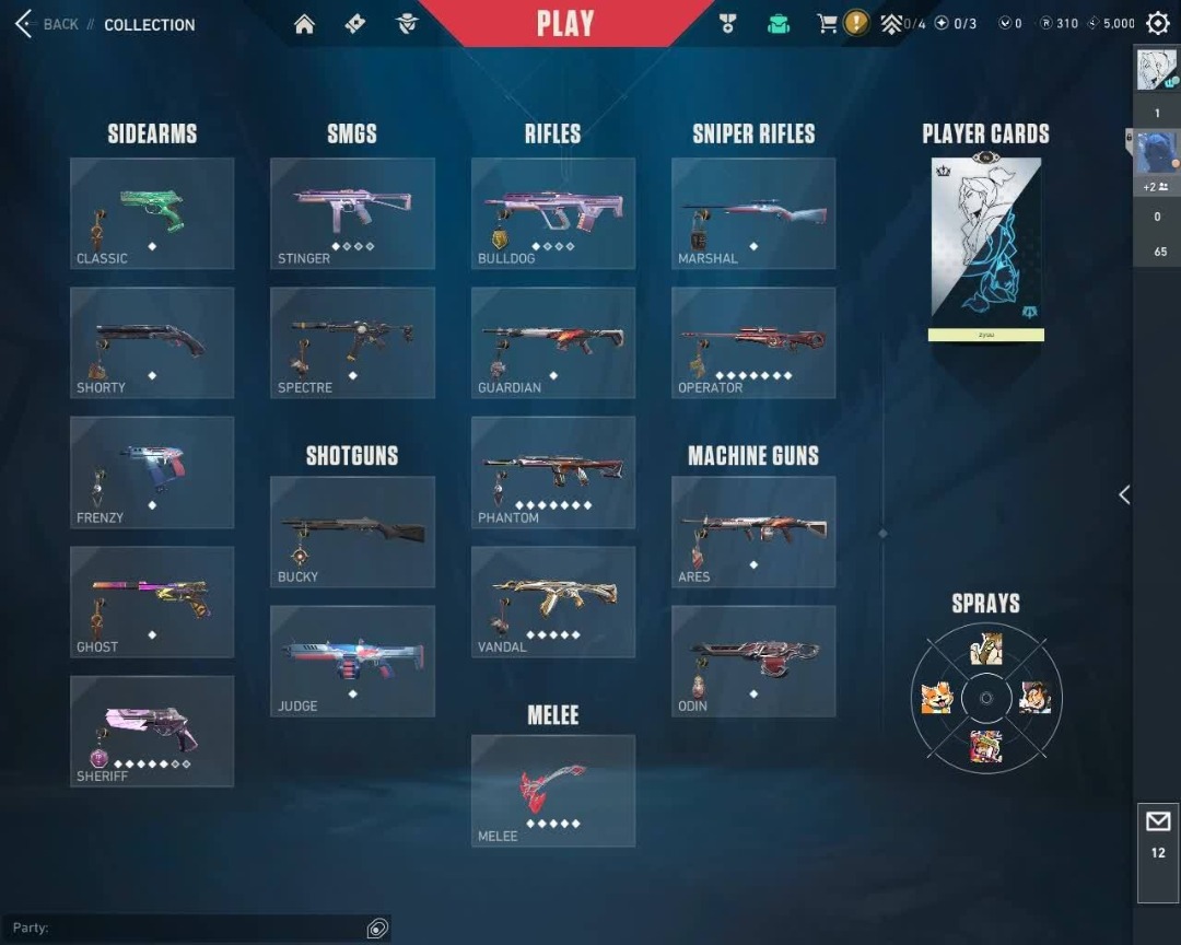 Valorant account (5 premium skins), Video Gaming, Gaming Accessories ...