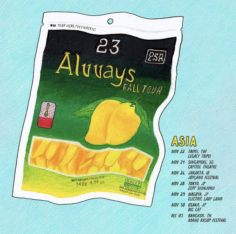 3x Alvvays CAT A (Standing Pit) concert tickets, Tickets & Vouchers ...