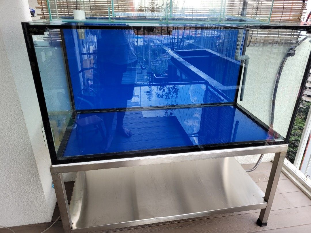 4 feet fish tank, Pet Supplies, Homes & Other Pet Accessories on Carousell