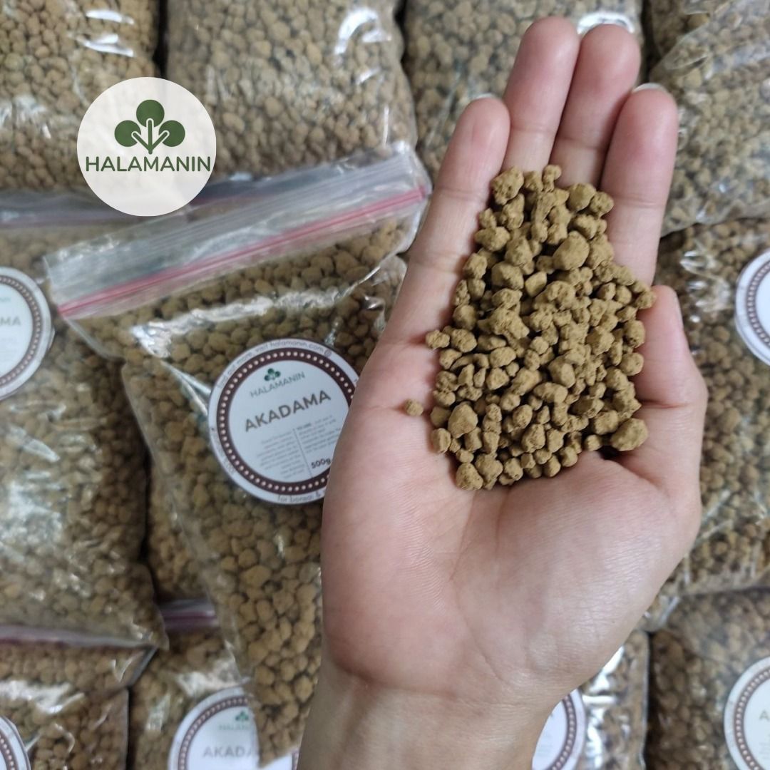Akadama (3-6 mm)- 500grams, Furniture & Home Living, Gardening, Soil ...