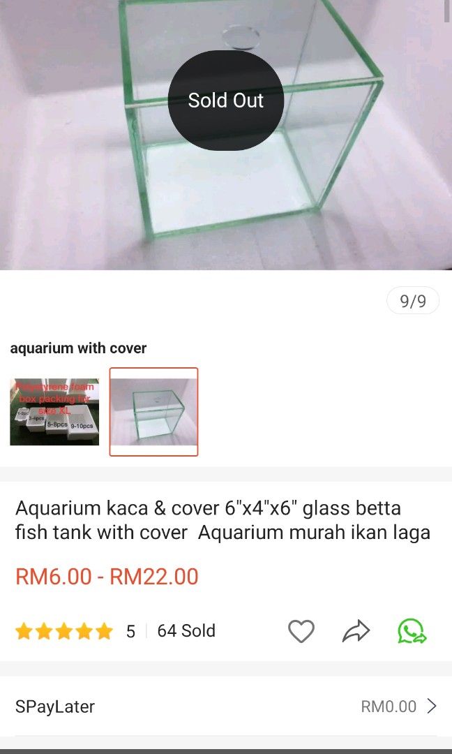 Betta Fish | Glass Tank with Cover, Pet Supplies, Homes & Other Pet ...