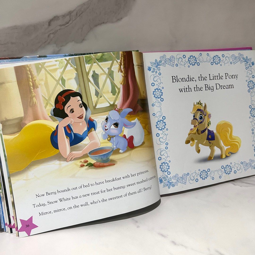 Disney Princess Palace Pets Storybook Collection, Hobbies & Toys, Books ...