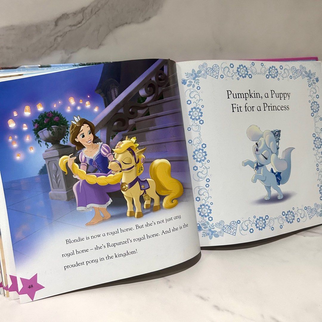Disney Princess Palace Pets Storybook Collection, Hobbies & Toys, Books ...