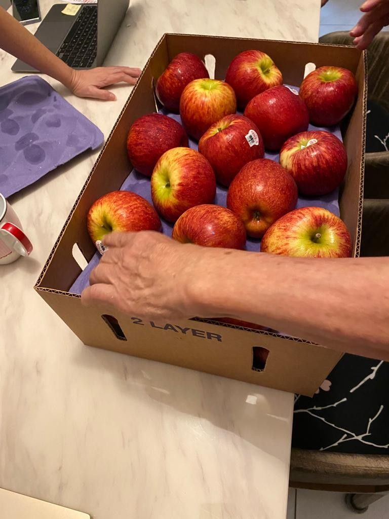 Envy Apples (Premium & Fresh), Food & Drinks, Fresh Produce on Carousell