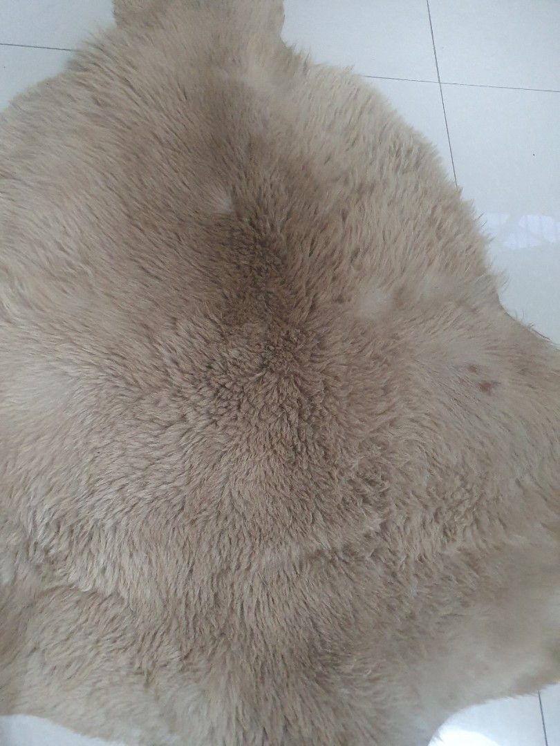 Kangaroo Fur, Furniture & Home Living, Home Decor, Carpets, Mats ...