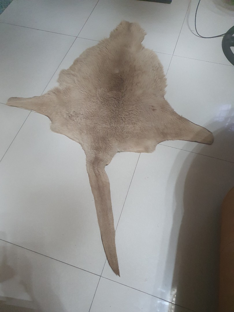 Kangaroo Fur, Furniture & Home Living, Home Decor, Carpets, Mats ...