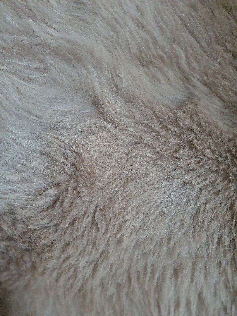 Kangaroo Fur, Furniture & Home Living, Home Decor, Carpets, Mats ...