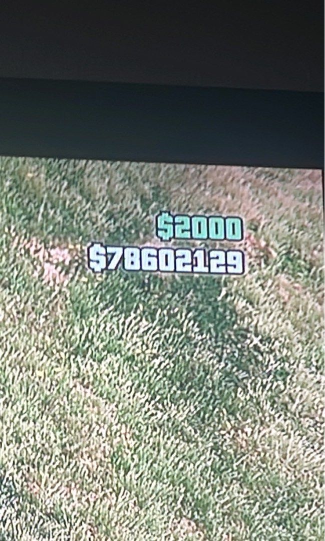 Gta 5 mod accounts, Video Gaming, Video Games, PlayStation on Carousell