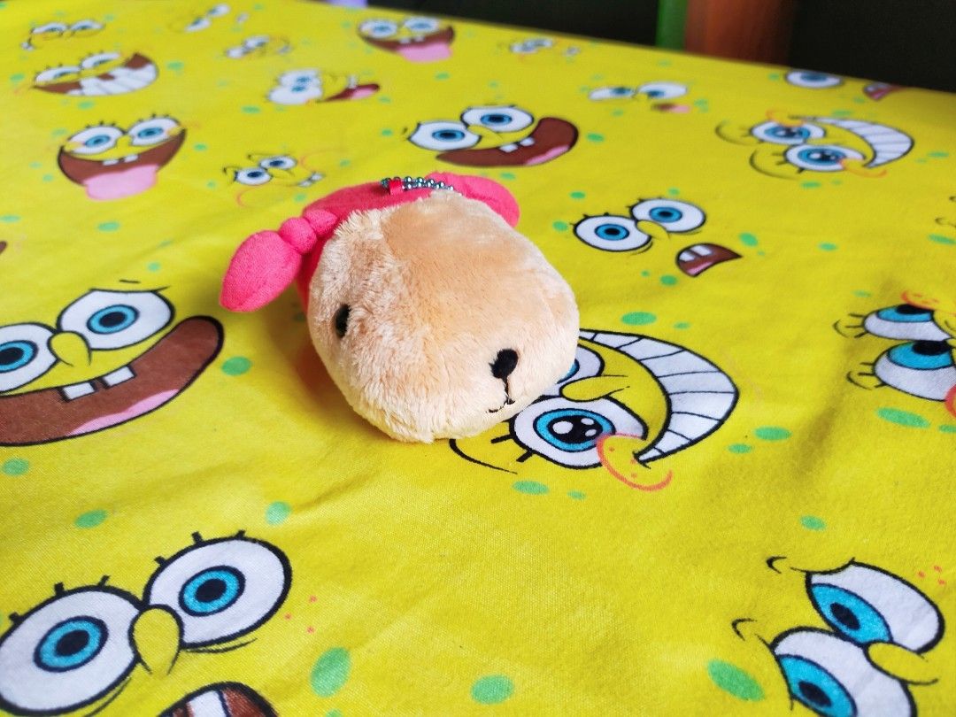 Kapibarasan Zodiac (cancer), Hobbies & Toys, Toys & Games on Carousell