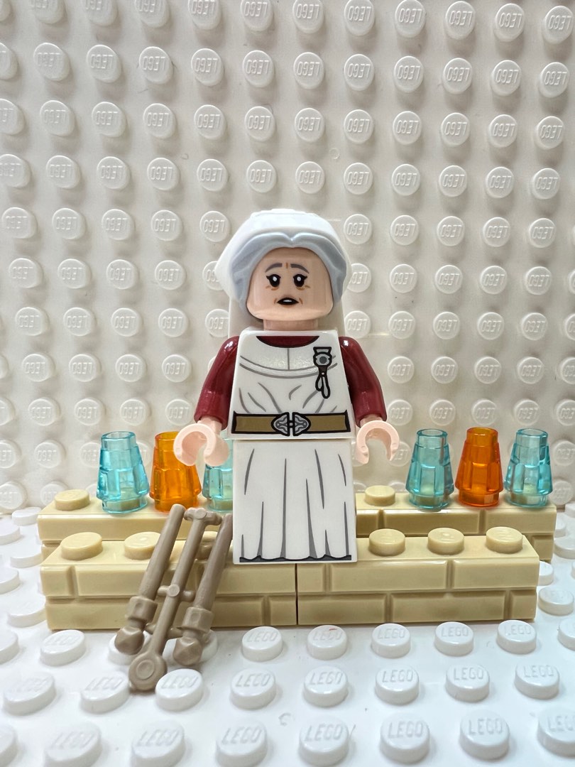 Lego Minifigure Hogwarts Harry Potter madam poppy pomfrey hp325 哈利波特 人仔 ...