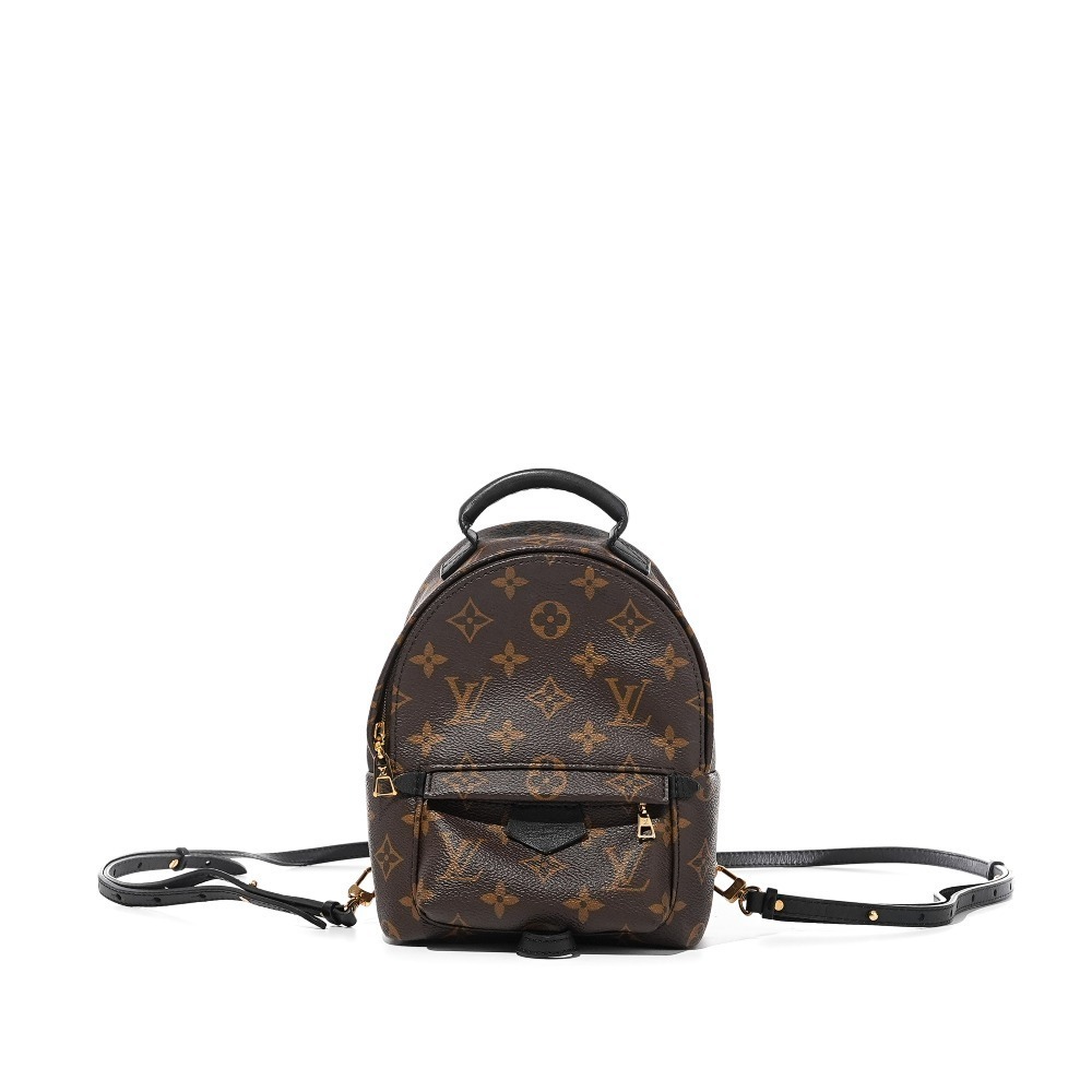 Louis Vuitton Mini Palm Spring backpack in classic monogram canvas on ...
