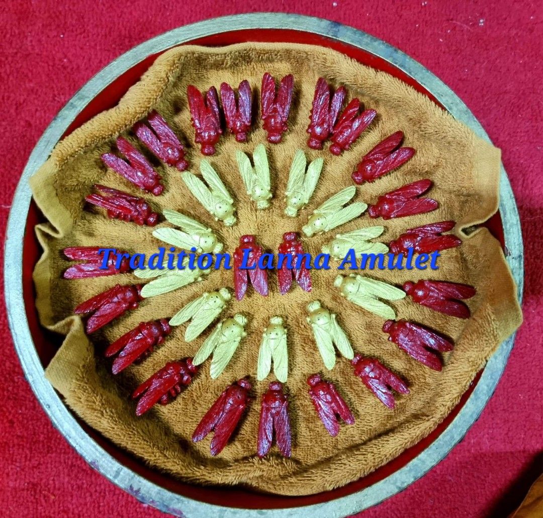 Maleng Pu Bumble Bee with casing, Hobbies & Toys, Memorabilia ...