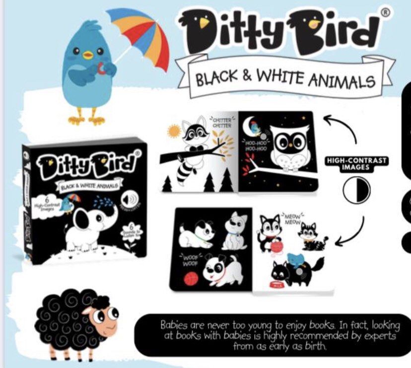 NEW Ditty Bird Titles, Hobbies & Toys, Books & Magazines, Children's ...
