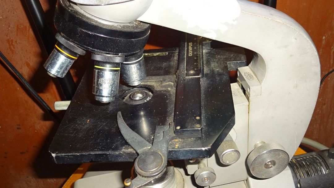 Vintage Olympus Electric Microscope (maybe an F model) with 2x WF10X ...