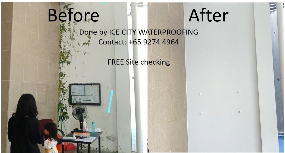 Professional waterproofing services for roof, wall & ceiling. PU ...