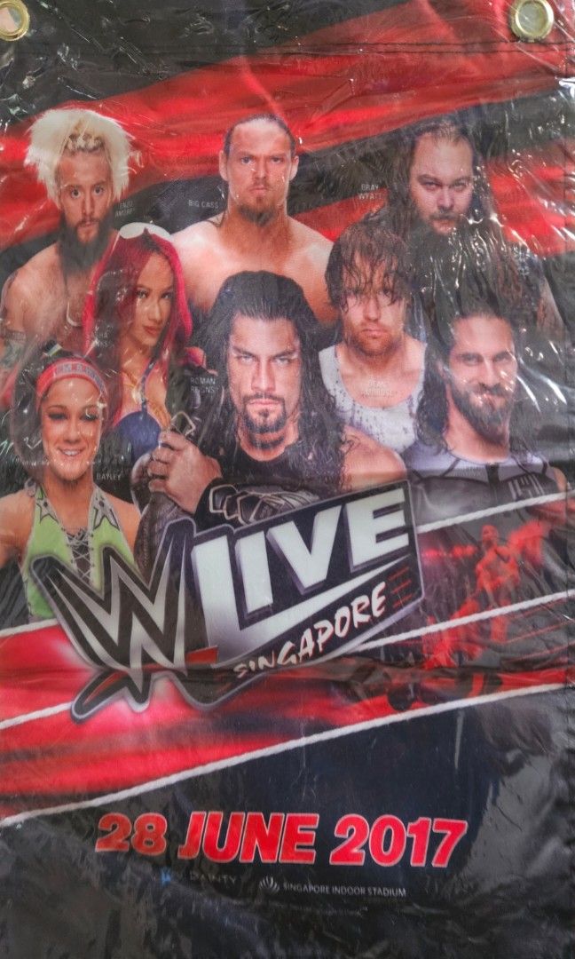 WWE wall flag June 2017 Singapore, Hobbies & Toys, Memorabilia ...