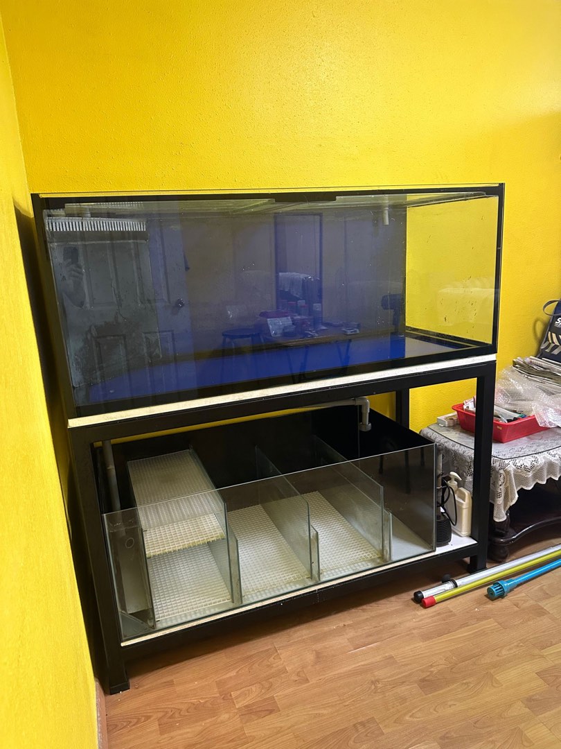 5 FT Fish tank with custom water filter, Pet Supplies, Homes & Other ...