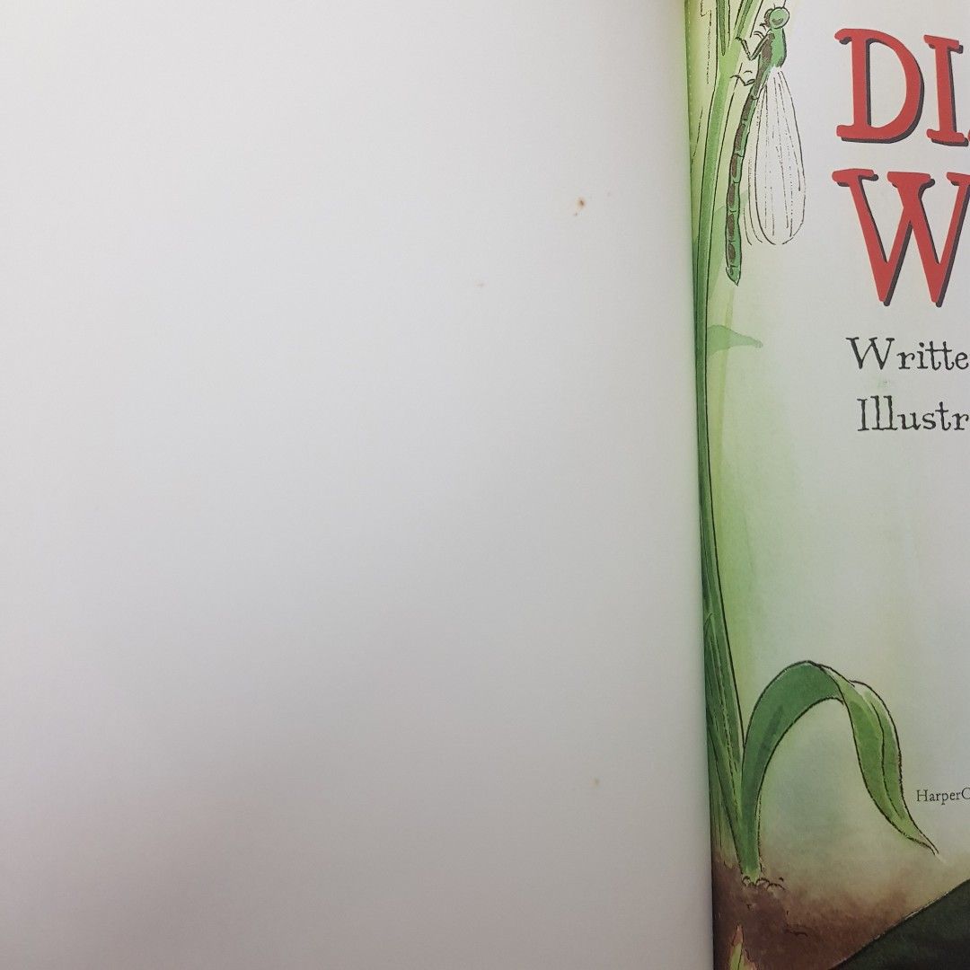 (All for $7) 3 Picture Books Diary of a fly spider worm English ...