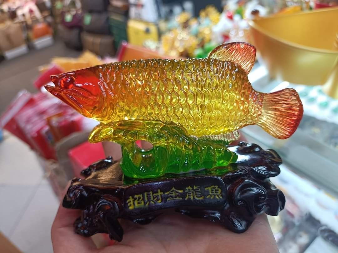 Arowana fish fengshui display on Carousell