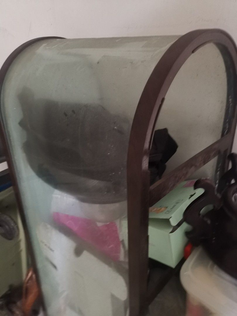 Concave glass fish tank, Pet Supplies, Homes & Other Pet Accessories on ...