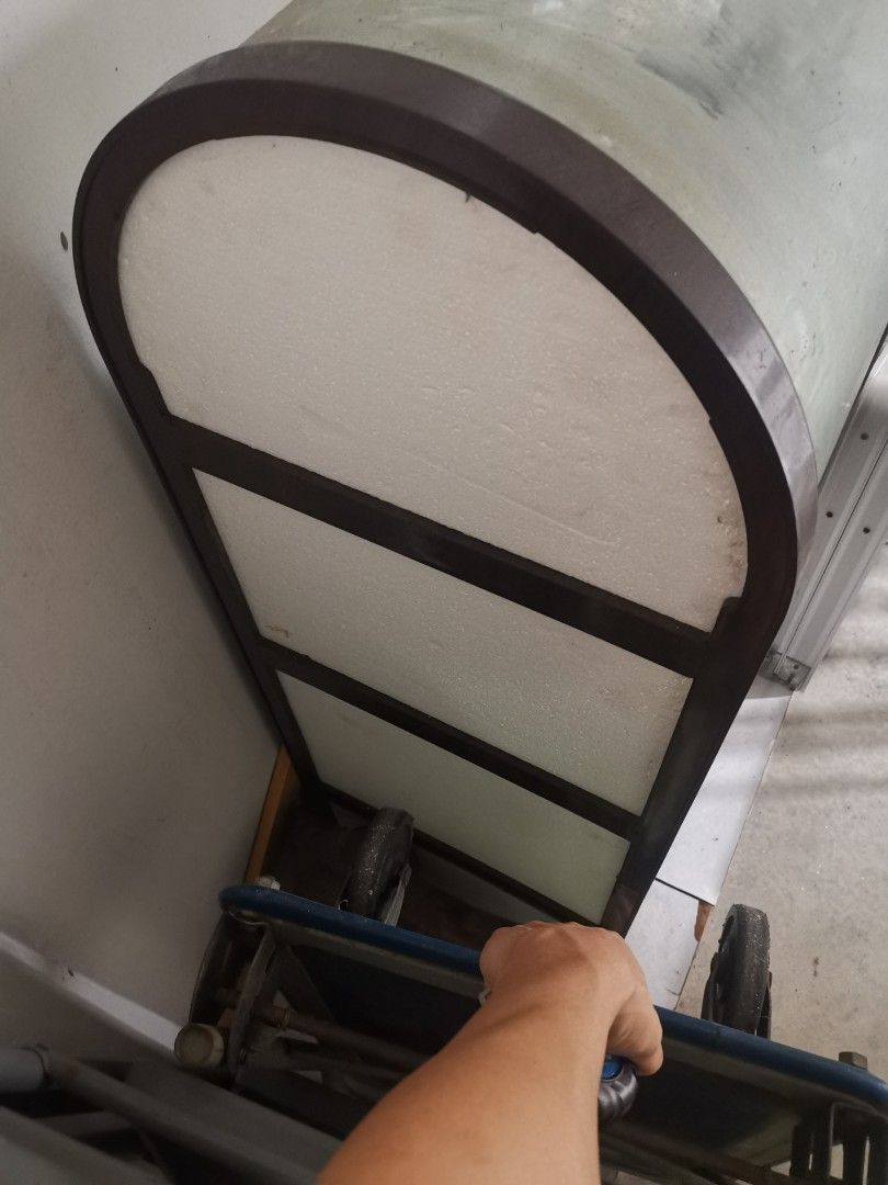 Concave glass fish tank, Pet Supplies, Homes & Other Pet Accessories on ...