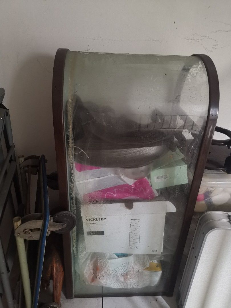 Concave glass fish tank, Pet Supplies, Homes & Other Pet Accessories on ...