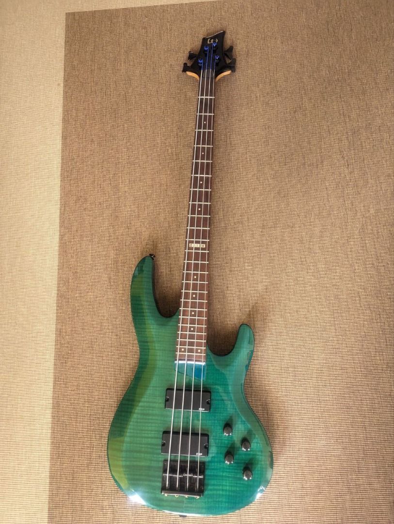 ESP LTD B-154DX Electric Bass, Hobbies & Toys, Music & Media, Musical ...