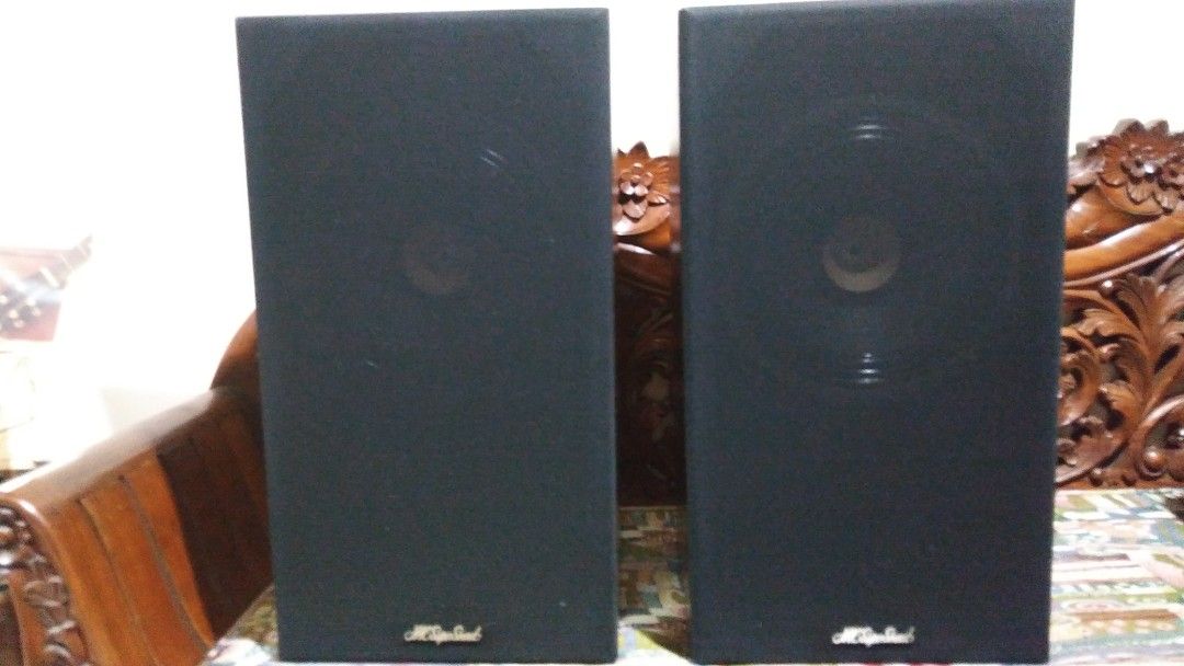Full Range Speaker Not Bowers Dynaudio Jbl Infinity Bose Polk