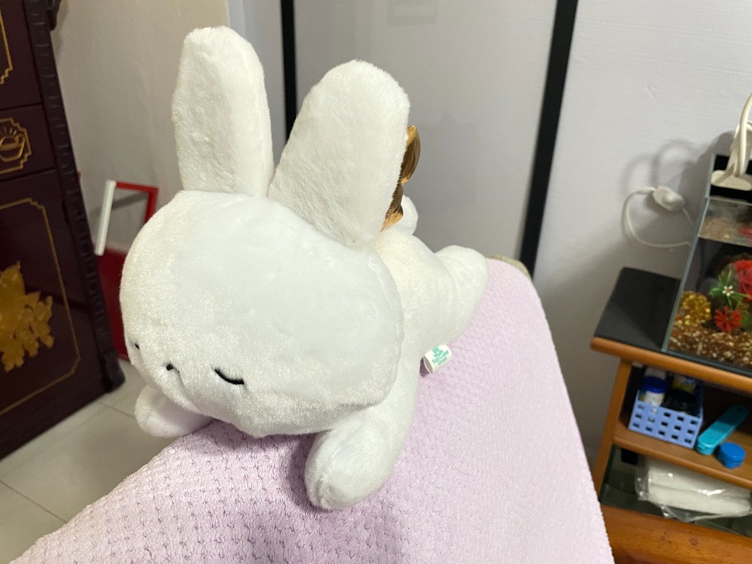 Funclaw Soft Toys, Hobbies & Toys, Toys & Games on Carousell