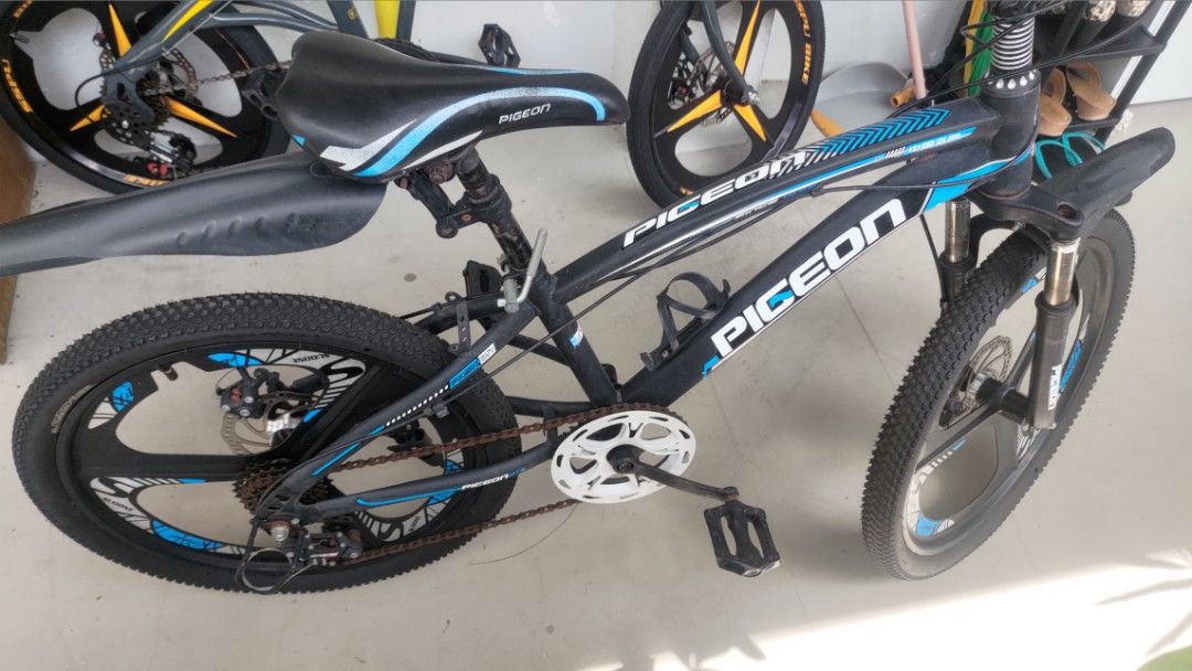 Pigeon 22 inch cycle. Match for children and 5 feet below adults ...