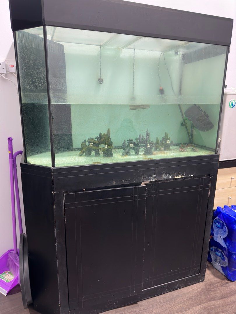 Used fish tank, Pet Supplies, Homes & Other Pet Accessories on Carousell