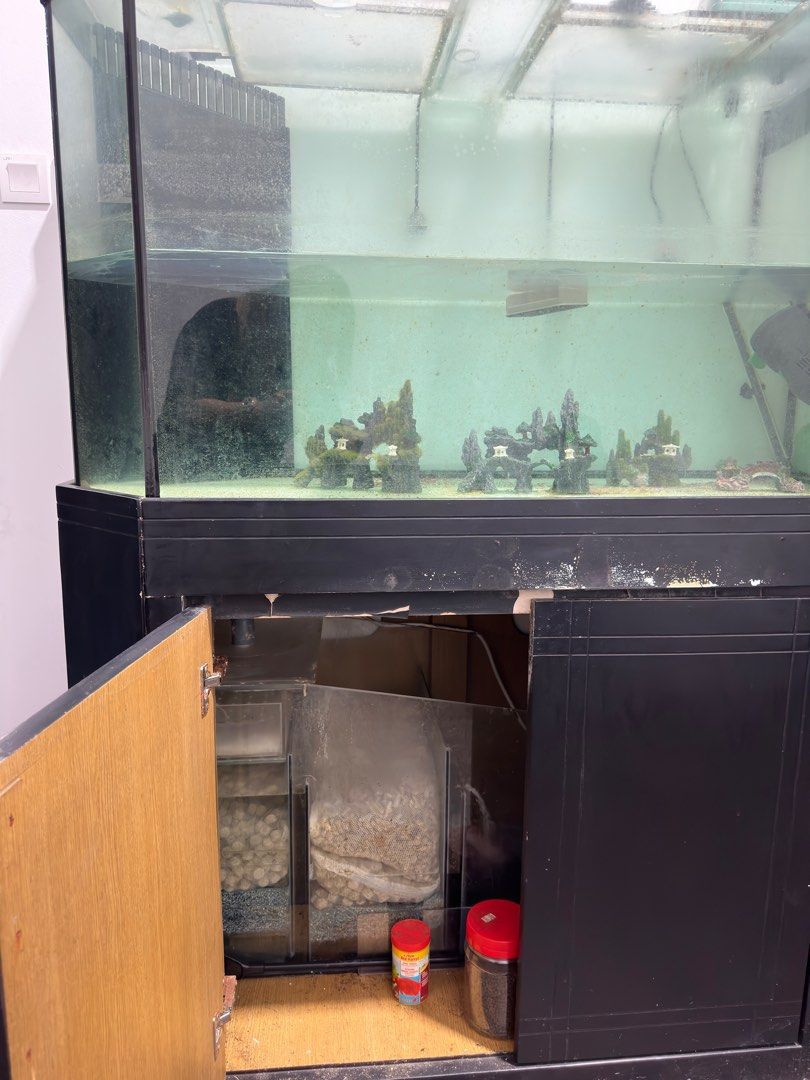 Used fish tank, Pet Supplies, Homes & Other Pet Accessories on Carousell