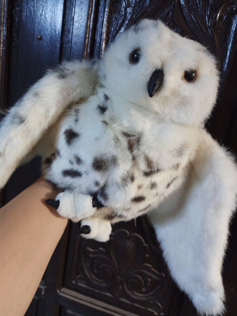 VERY BEAUTIFUL REALISTIC OWL HAND PUPPET, Hobbies & Toys, Toys & Games ...