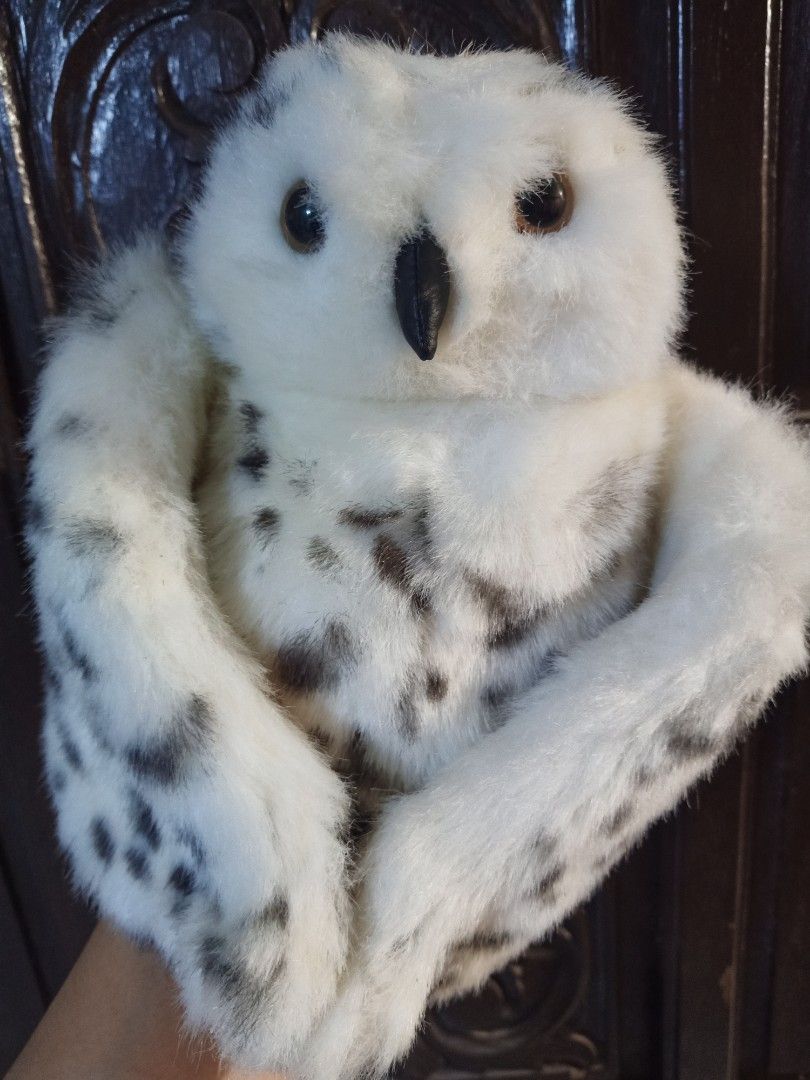 VERY BEAUTIFUL REALISTIC OWL HAND PUPPET, Hobbies & Toys, Toys & Games ...