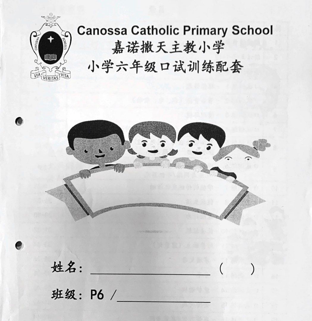 2023 PSLE Chinese Oral Notes, Hobbies & Toys, Books & Magazines ...