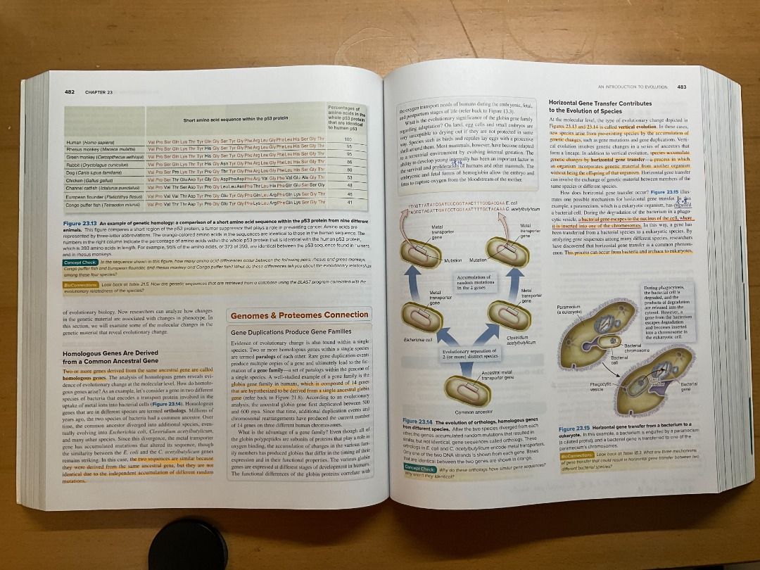 （二手）Biology 4th edition 普通生物第四版, 書籍、休閒與玩具, 書本及雜誌, 教科書、參考書在旋轉拍賣