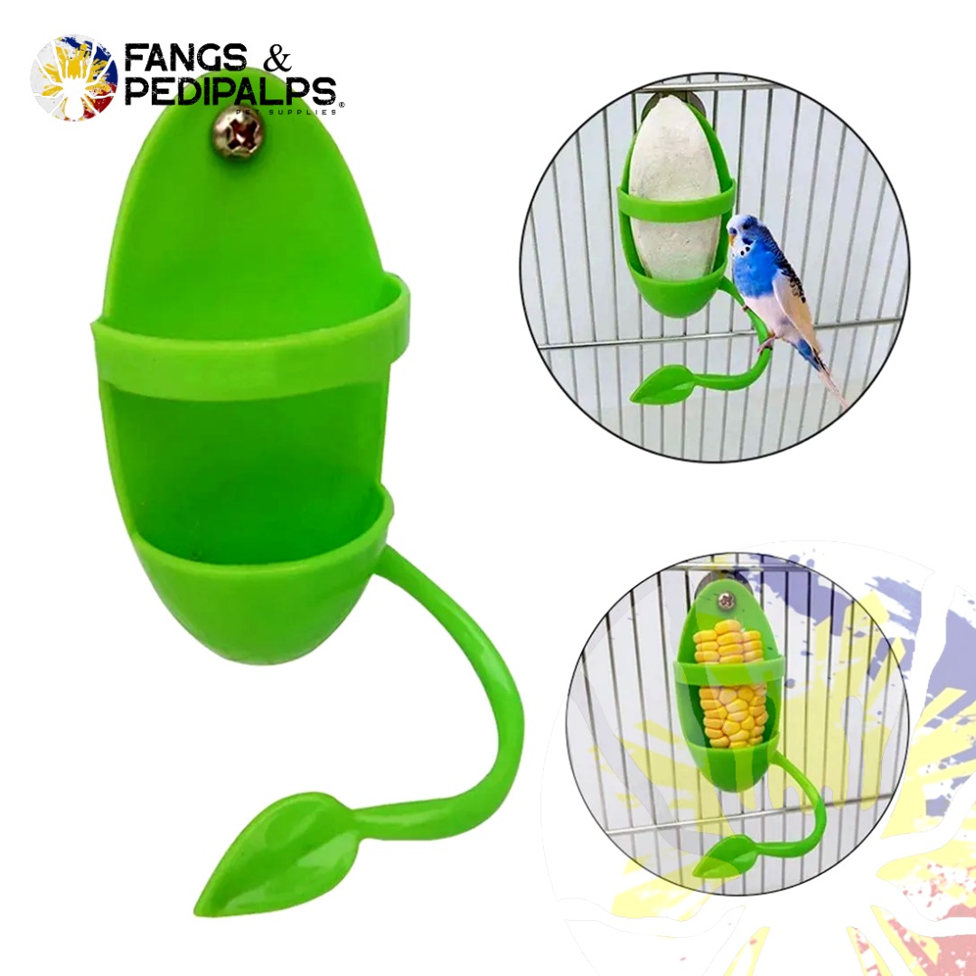 Bird Vegetable & Cuttlefish Bone Holder on Carousell