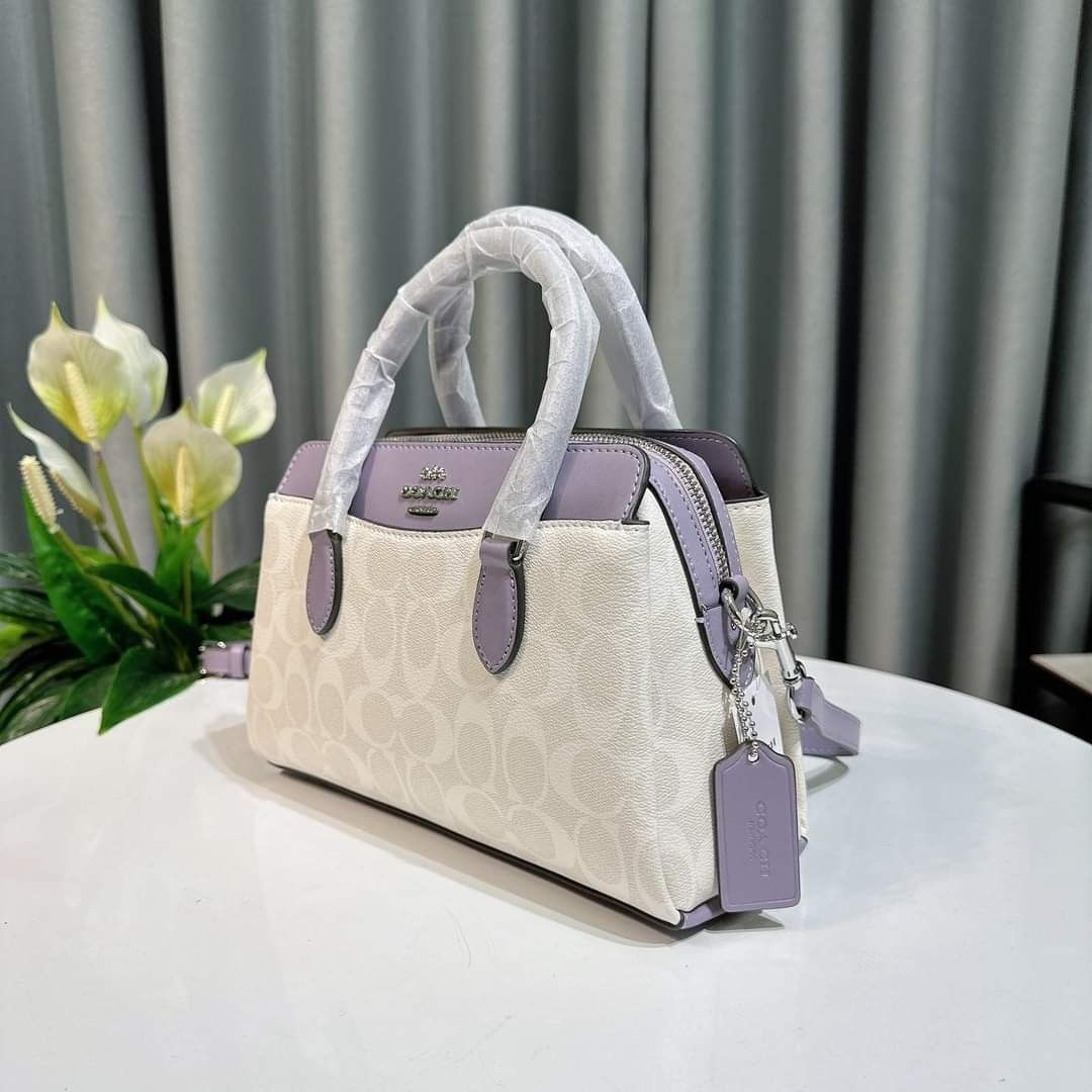 COACH MINI DARCIE CARRYALL IN SIGNATURE CANVAS SILVER/CHALK/MIST, Women ...
