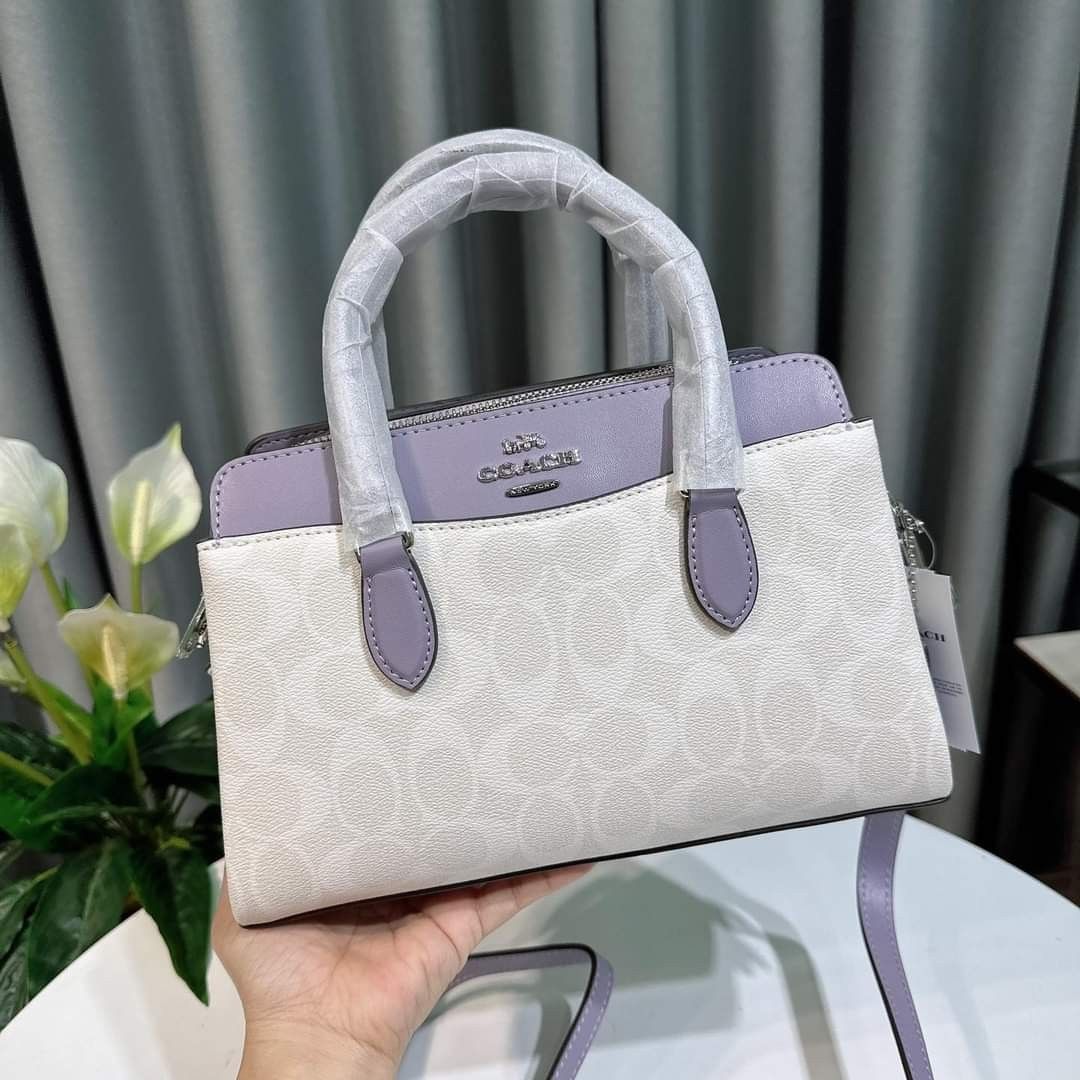 COACH MINI DARCIE CARRYALL IN SIGNATURE CANVAS SILVER/CHALK/MIST, Women ...