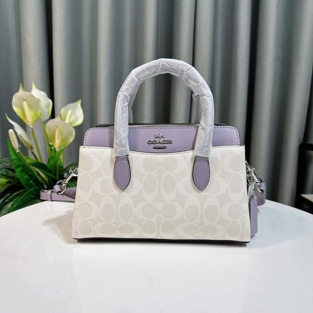 COACH MINI DARCIE CARRYALL IN SIGNATURE CANVAS SILVER/CHALK/MIST, Women ...