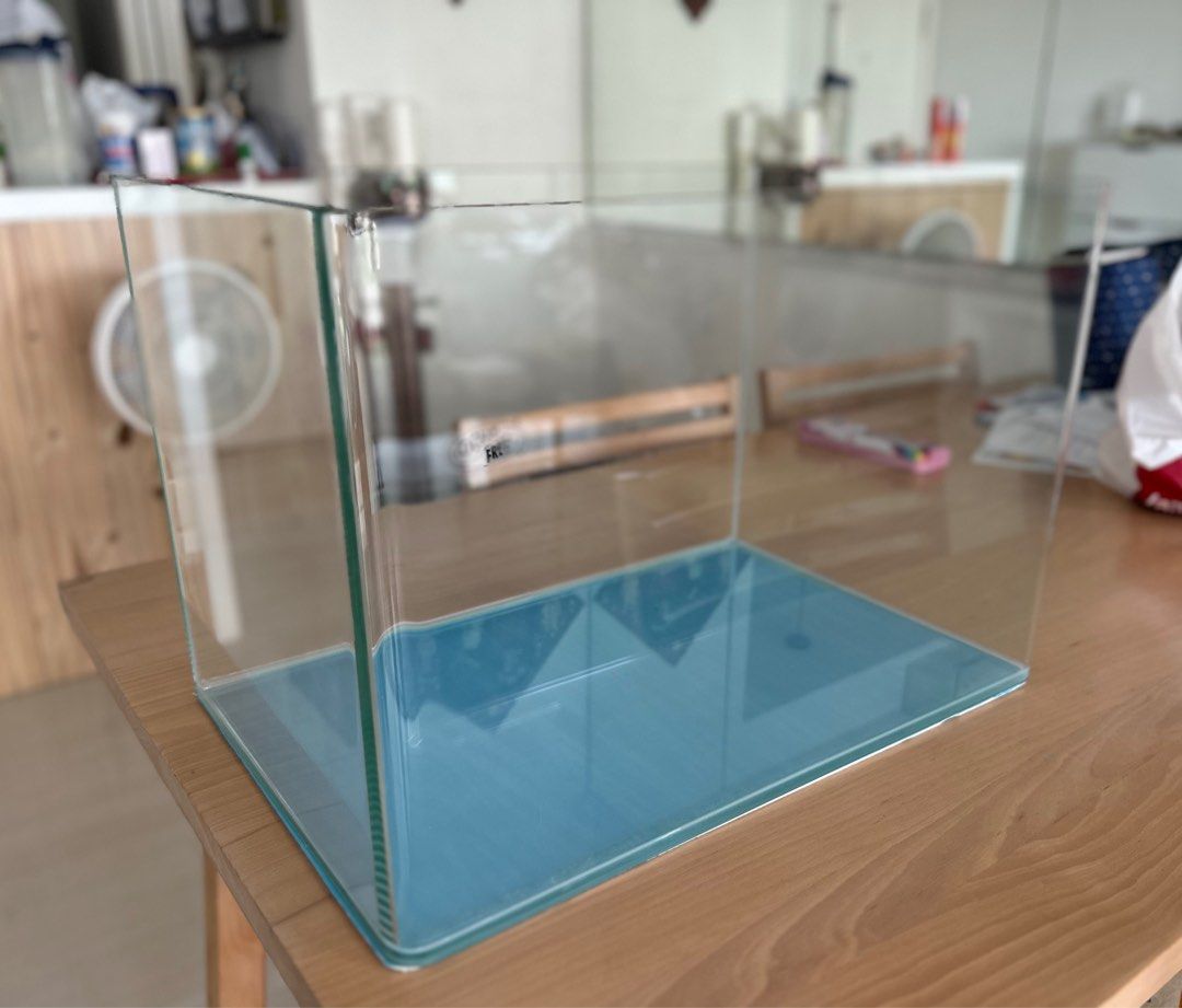 Curved Glass Tank 50(L) x 33(D) x 35(H), Pet Supplies, Homes & Other ...