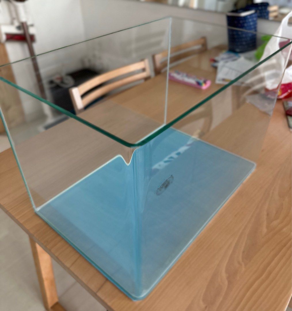 Curved Glass Tank 50(L) x 33(D) x 35(H), Pet Supplies, Homes & Other ...