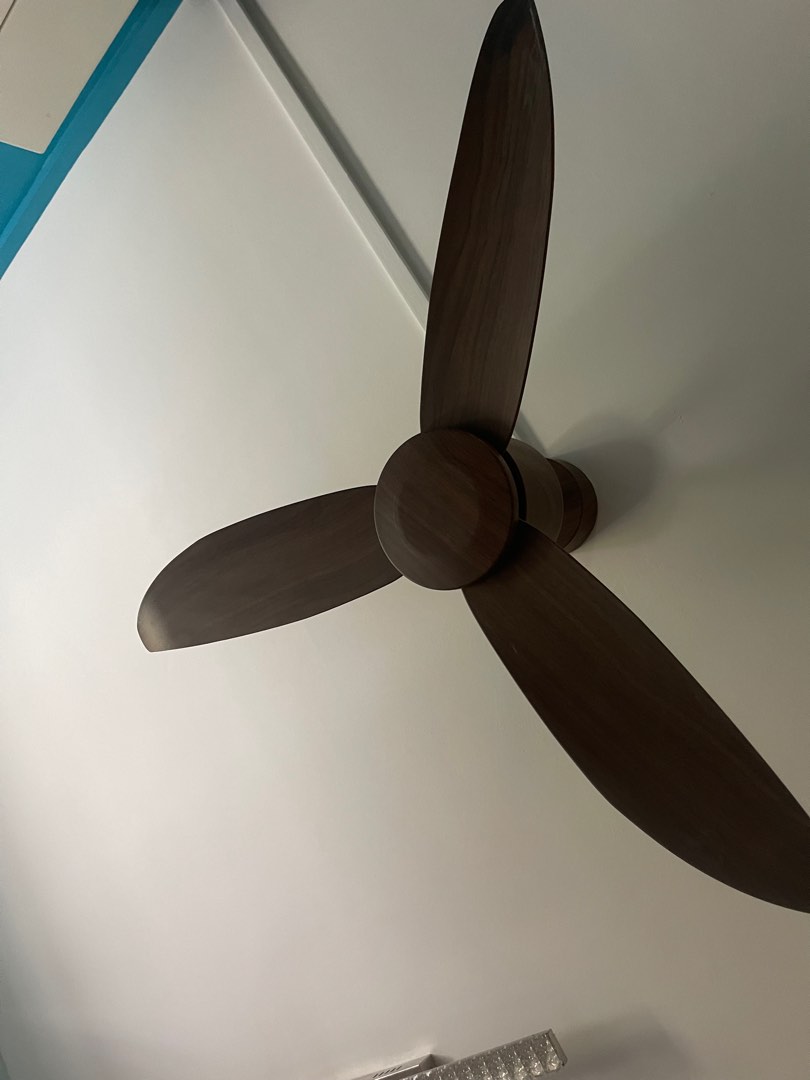 Dark brown ceiling fan, Furniture & Home Living, Lighting & Fans, Fans ...