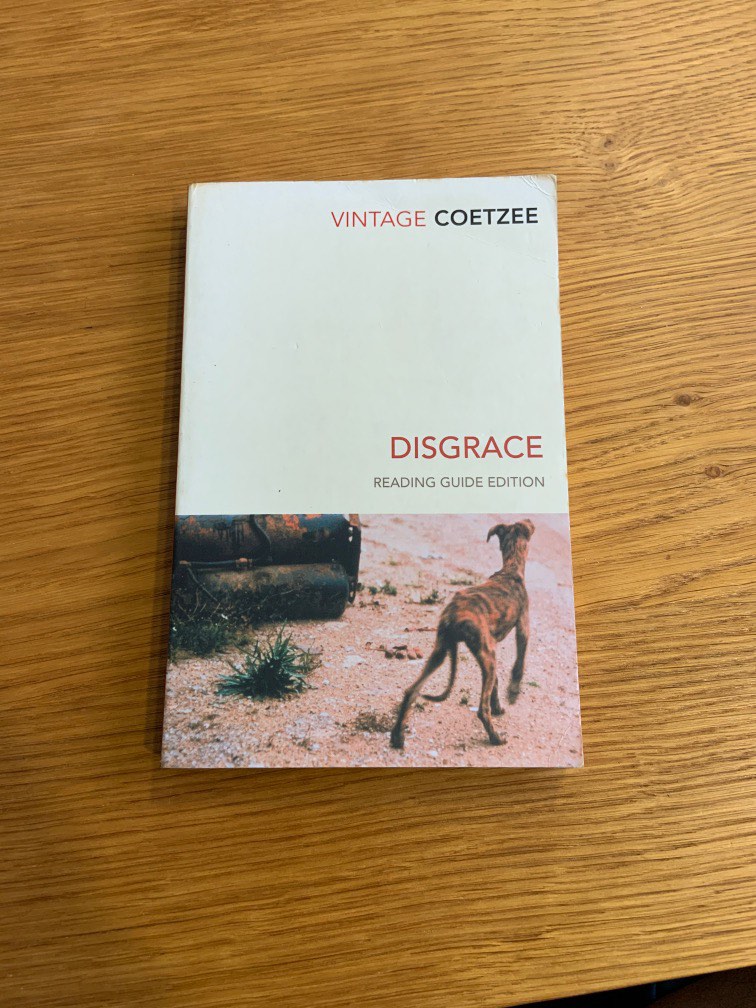 Literature: Disgrace by Vintage Coetzee, Hobbies & Toys, Books ...