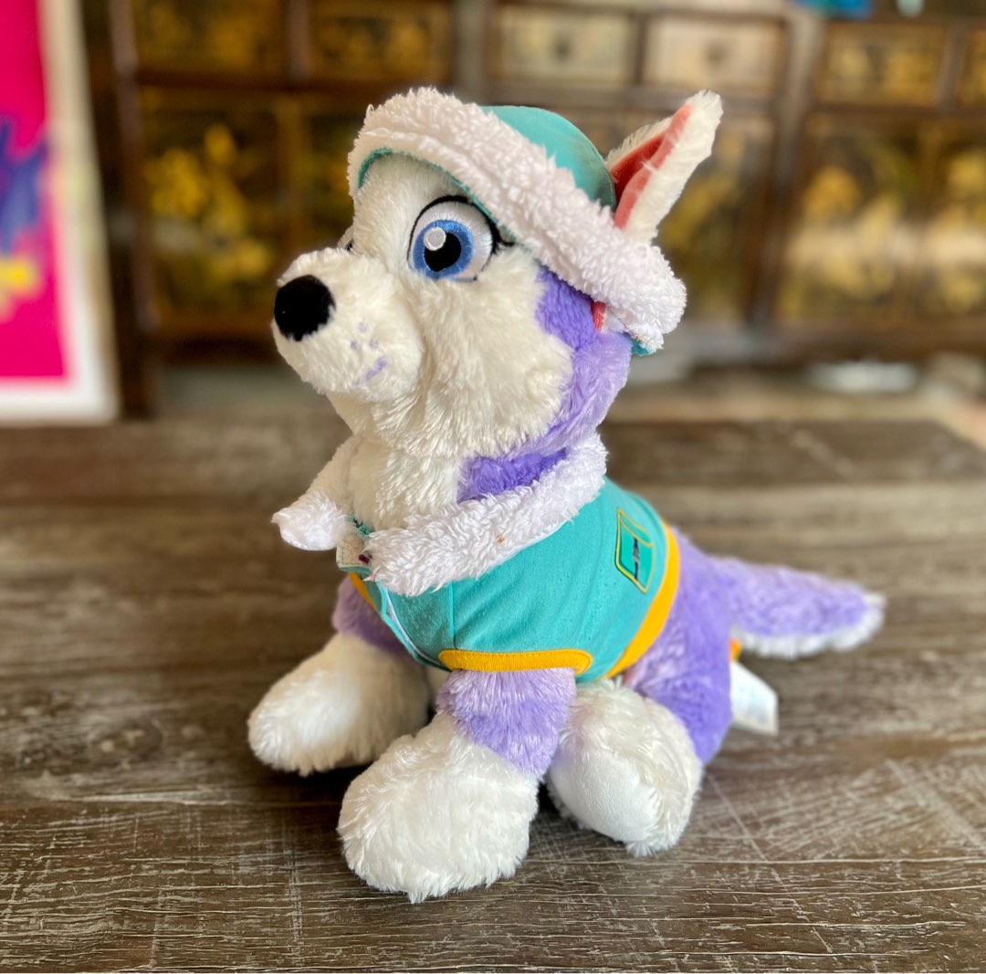 Everest from Paw Patrol Soft Toy dog (Build a Bear), Hobbies & Toys ...