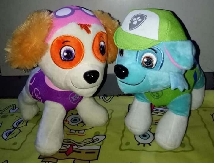 For Sale Paw Collections (Writing Work Book and 2 Stuffed Toys ...