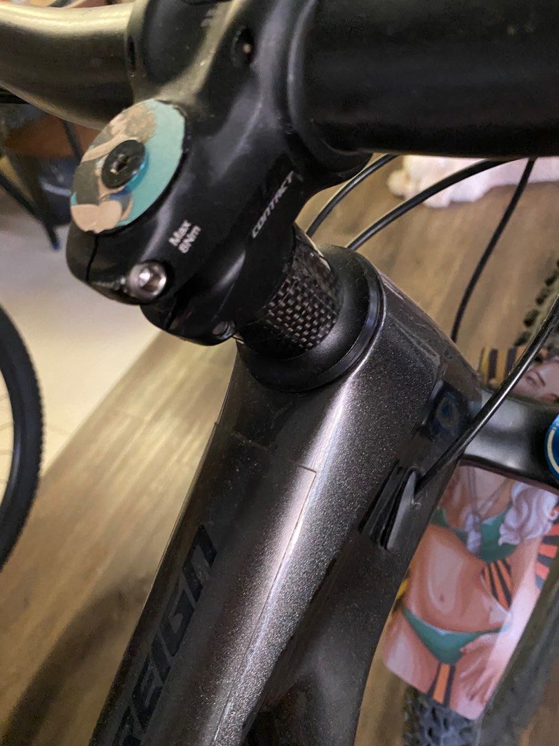 Giant Reign Advance Pro CF 2021 Size M, Sports Equipment, Bicycles ...