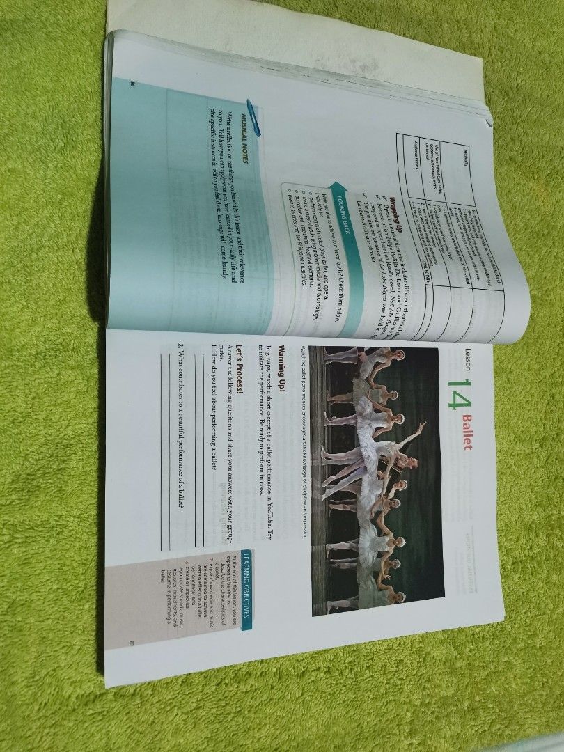 Grade 10 MAPEH textbook, Hobbies & Toys, Books & Magazines, Textbooks on Carousell