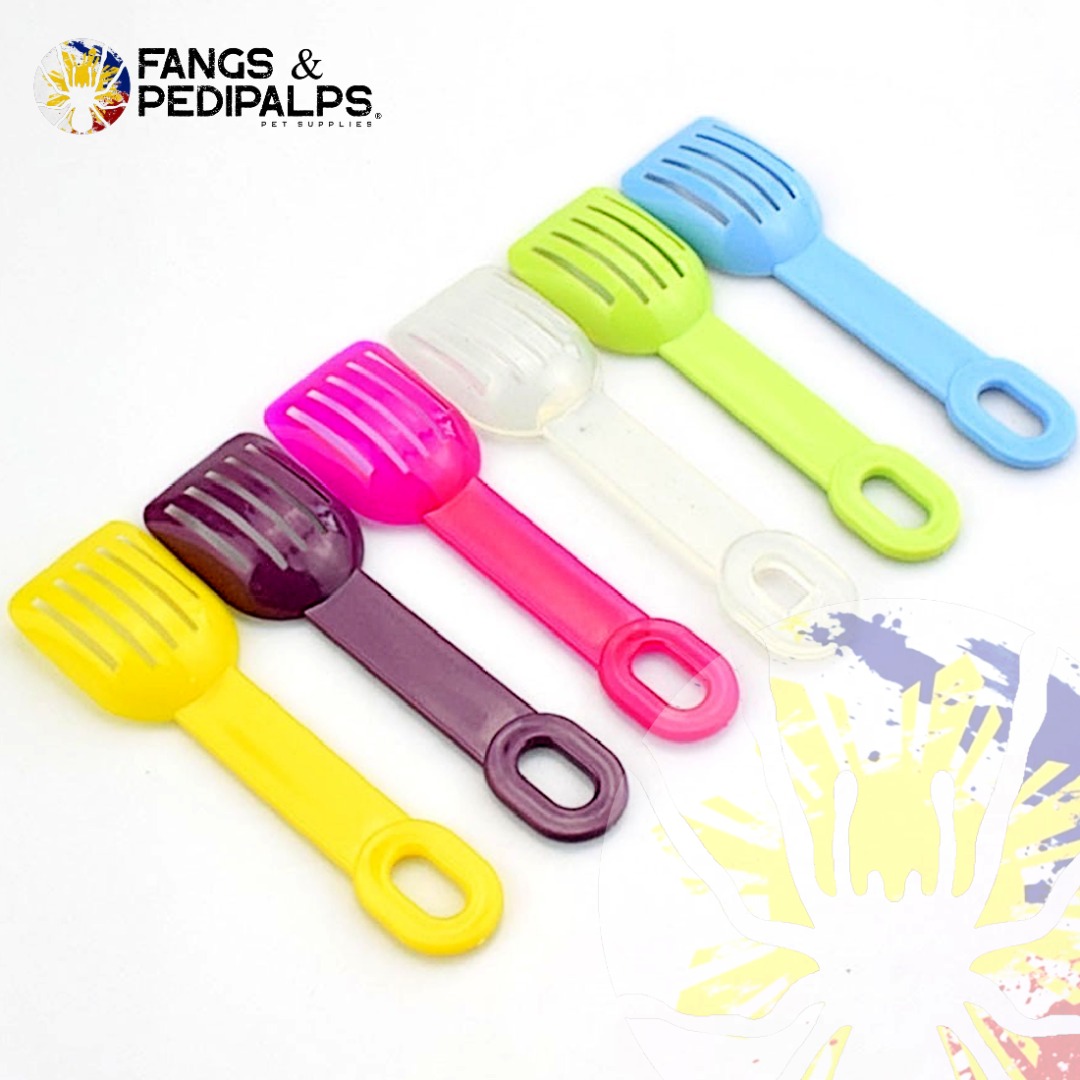 HAMSTER SAND LITTER POOP SCOOPER on Carousell