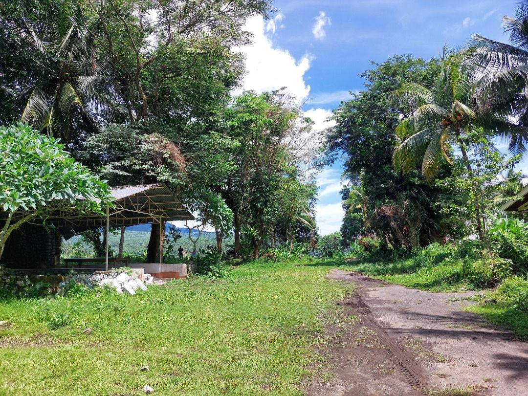 Installment Residential farm lot in san pablo laguna with facing MT ...